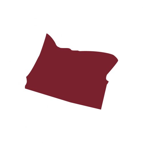 Primary Care Doctors Focused on Patient Care | P3 Health Partners | P3 ...